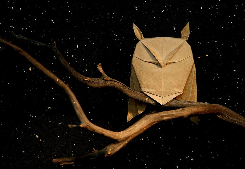 “Great Horned Owl” by Peter Engel | Origami Caravan